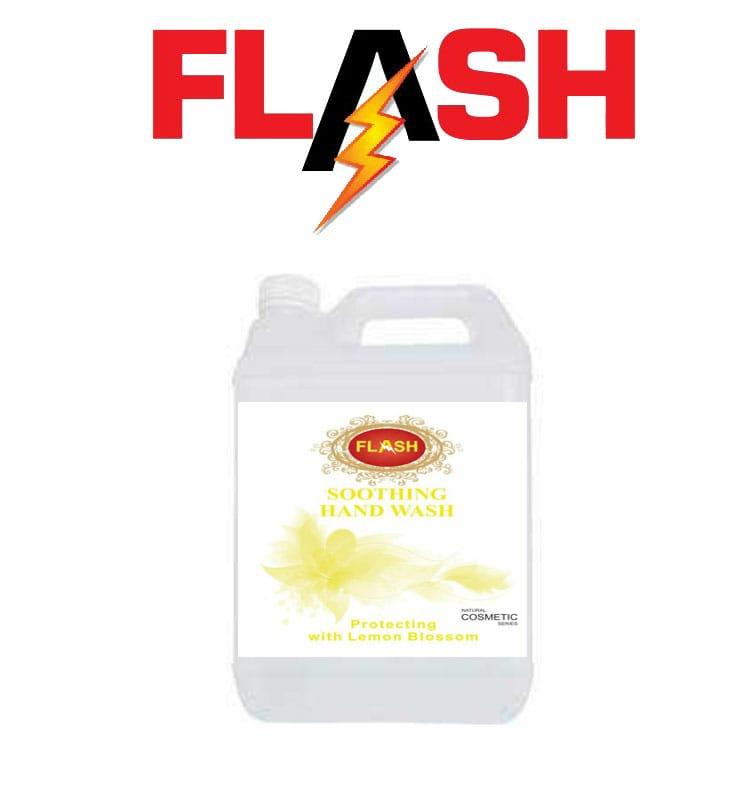 Hand Wash Liquid - Premium Quality - Anti Germs Formulation - 5 Liters ...