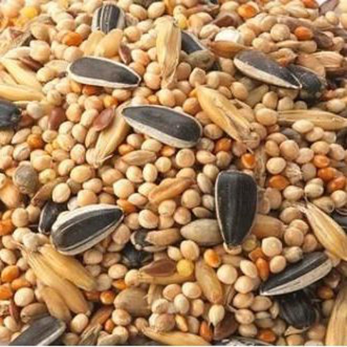 parrot feed 500gram | Daraz.pk
