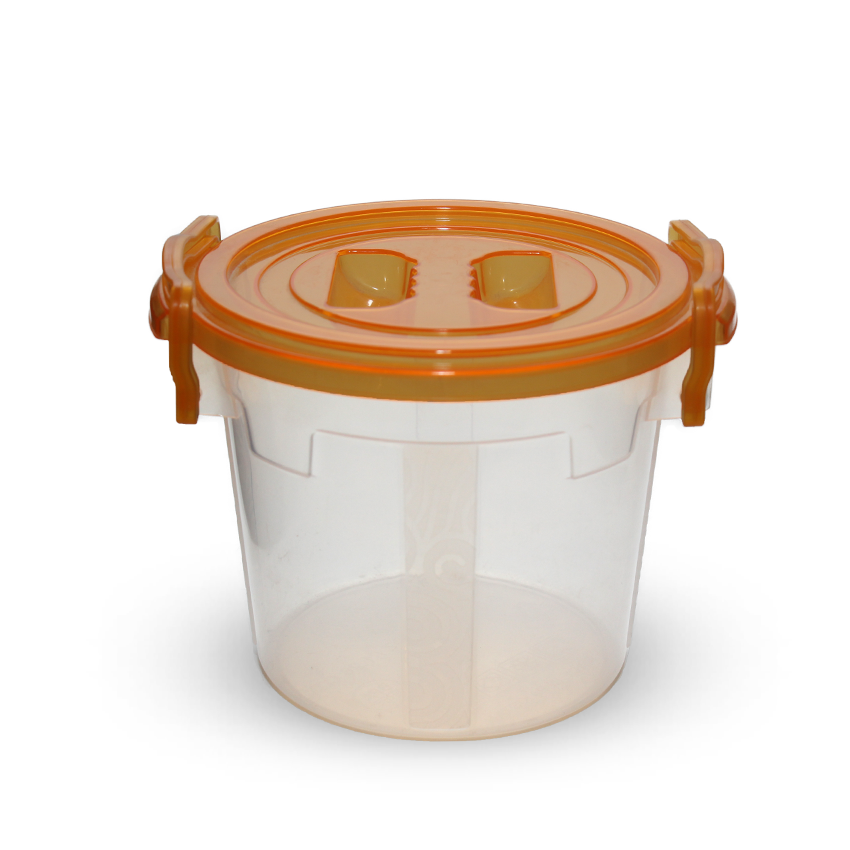 Appollo Handy Junior Food Storage Container (1200ml) | Daraz.pk