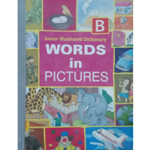 Words in Picture Level B | Interactive Development for Young Learners ...