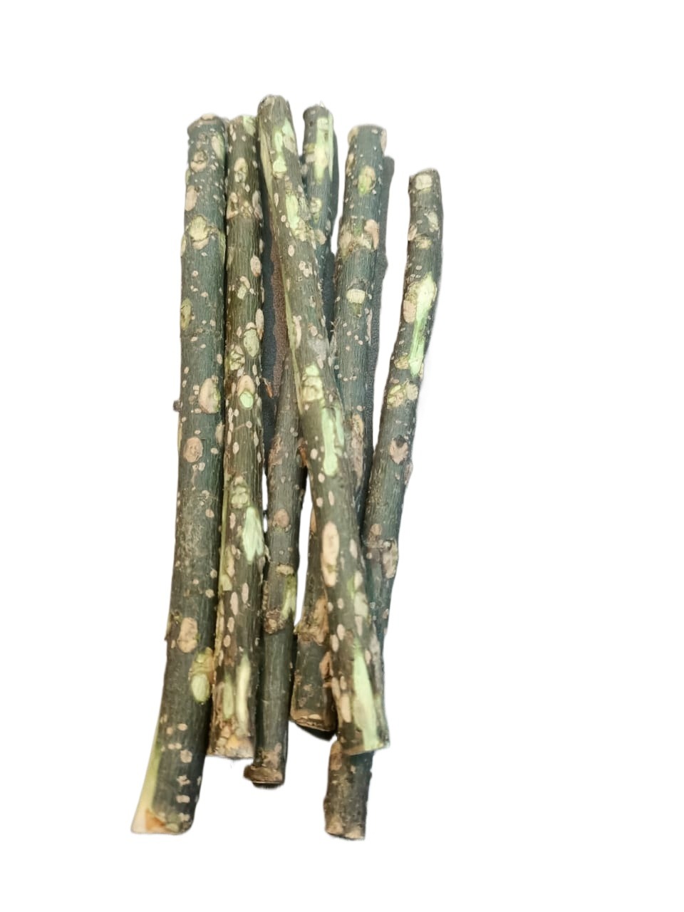 Miswak Brush | Miswak Timber | Miswak Tooth Brush | Daraz.pk