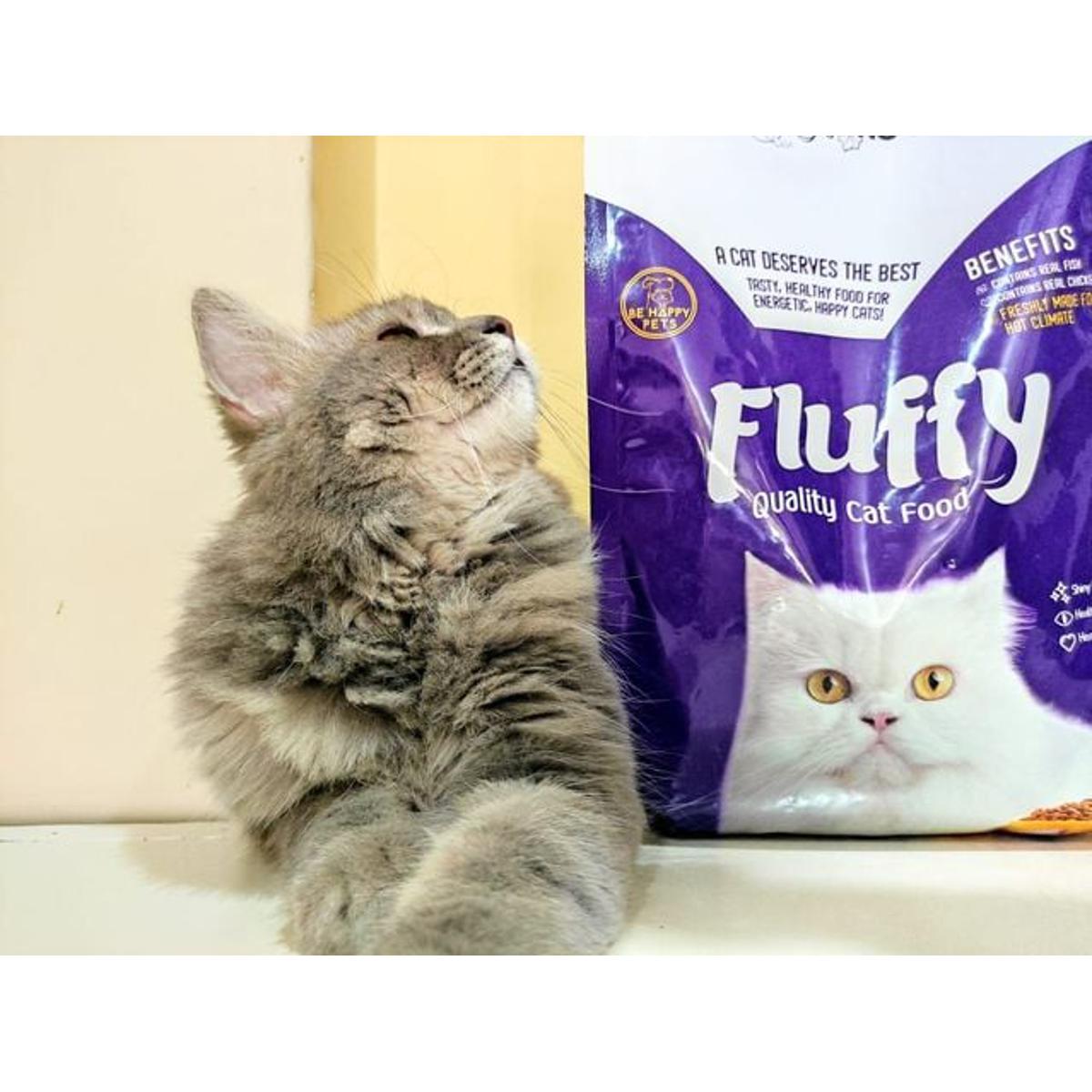 Fluffy Cat Food For All Stages Shiny Hair 1.2Kg | Daraz.pk