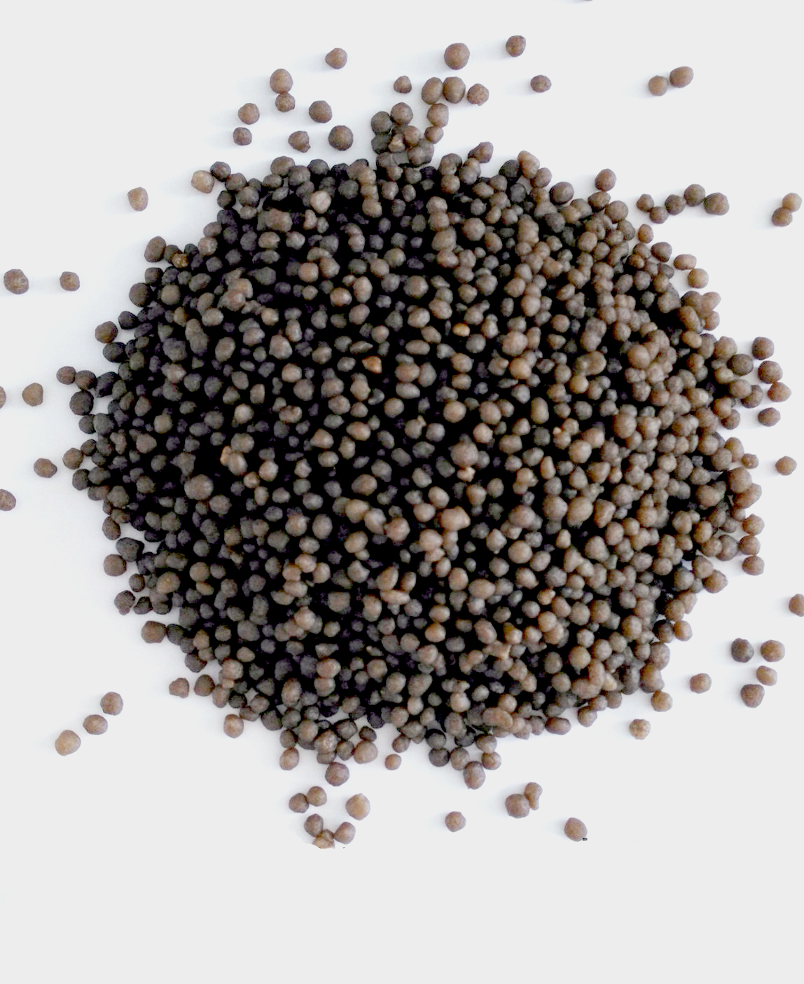 DAP Fertilizer 1kg Pack for grow your plant flowers and fruits . best ...