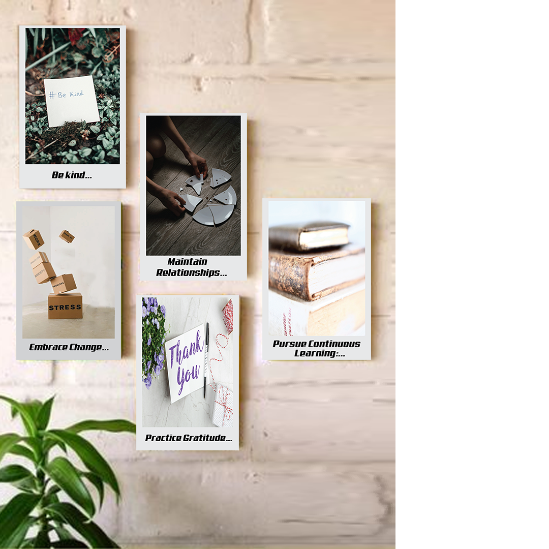 "Pack of 5 Polaroid Wall Posters | A4 Size Poster Card with ...