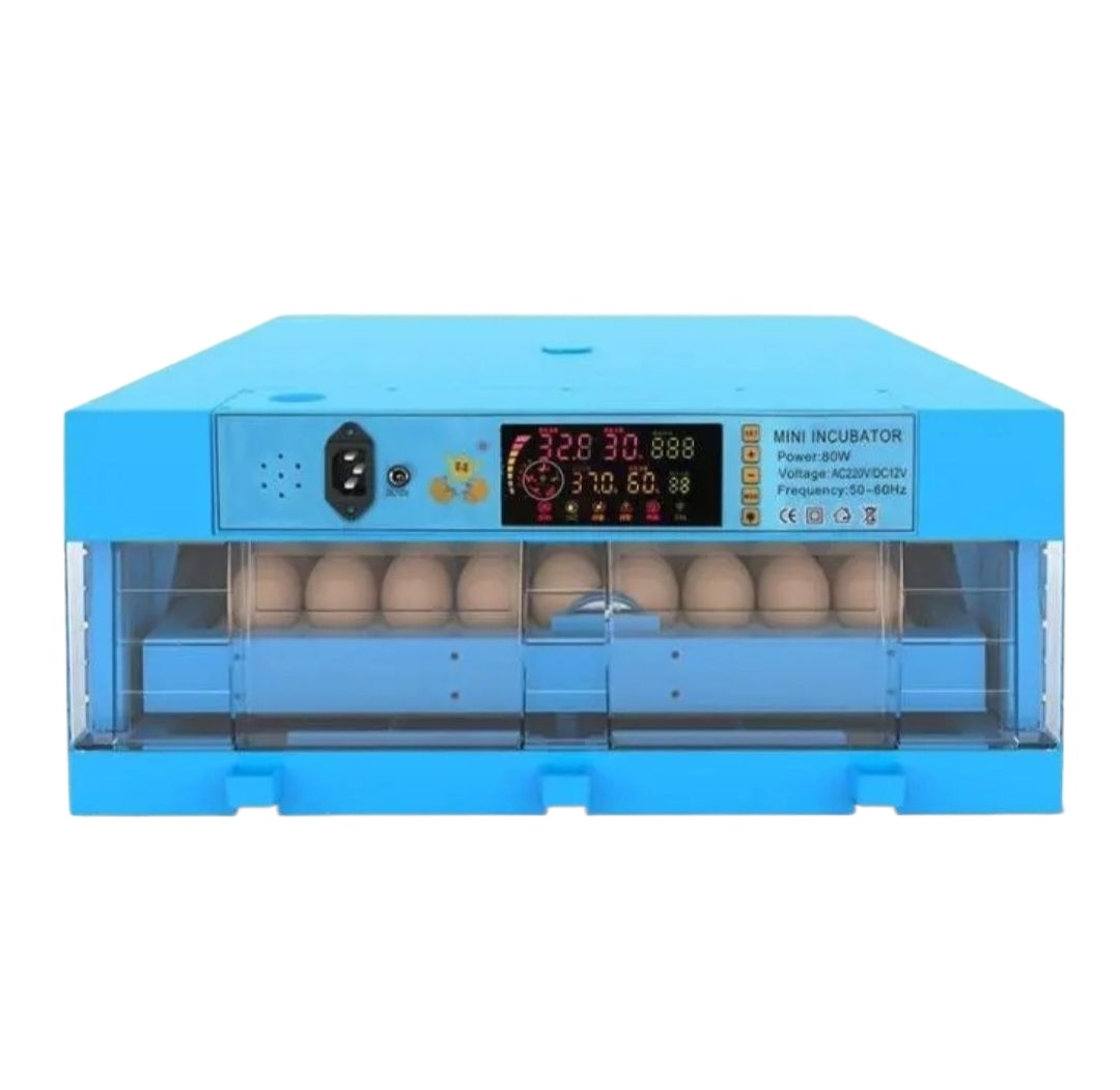 Advanced 64 Eggs Fully Automatic Electric 12v Dc 220v Ac Eggs Incubator Automatic Turning 64 ...