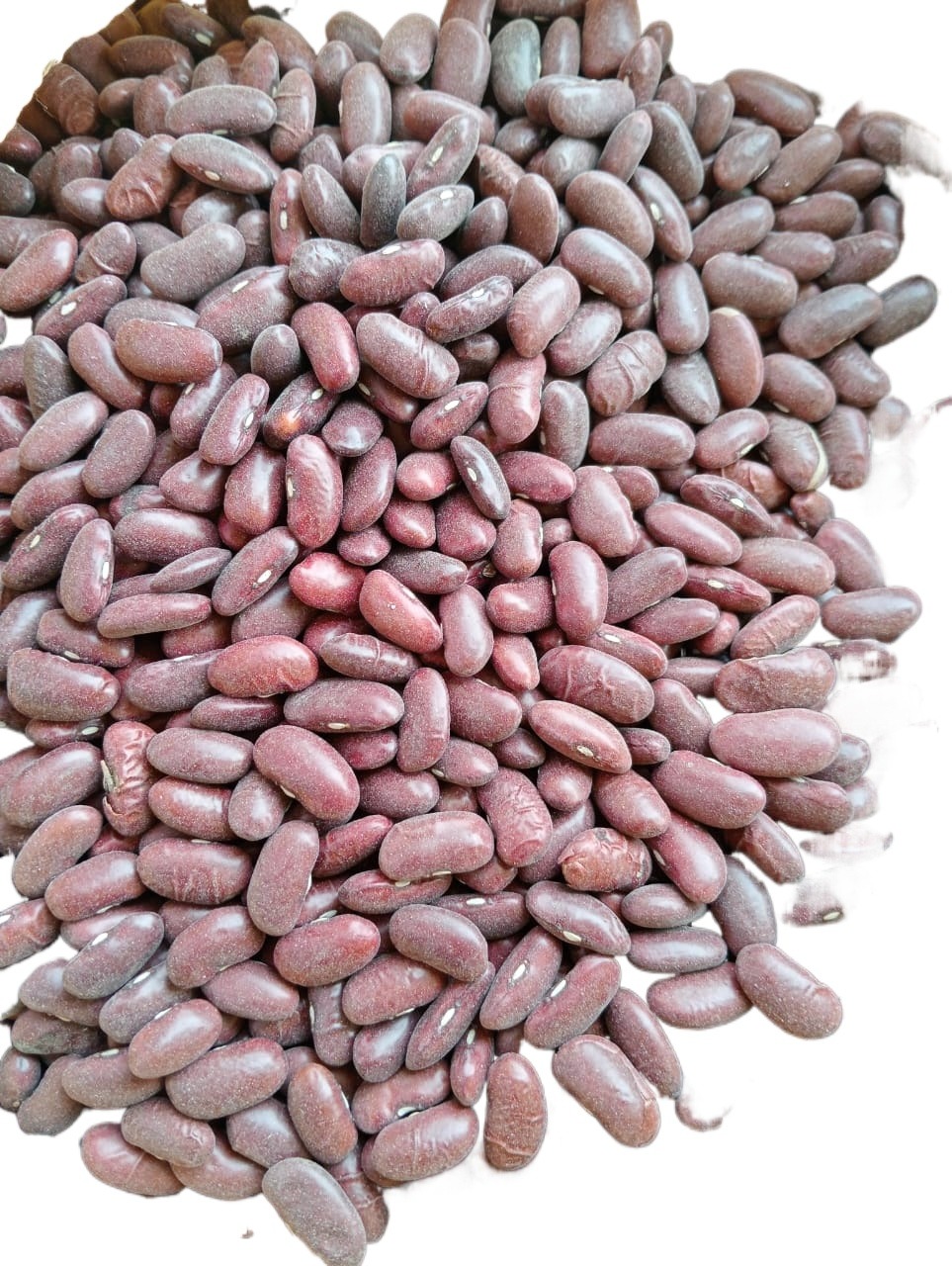 Red Lobia 1 Kg | Daraz.pk: Buy Online at Best Prices in Pakistan | Daraz.pk