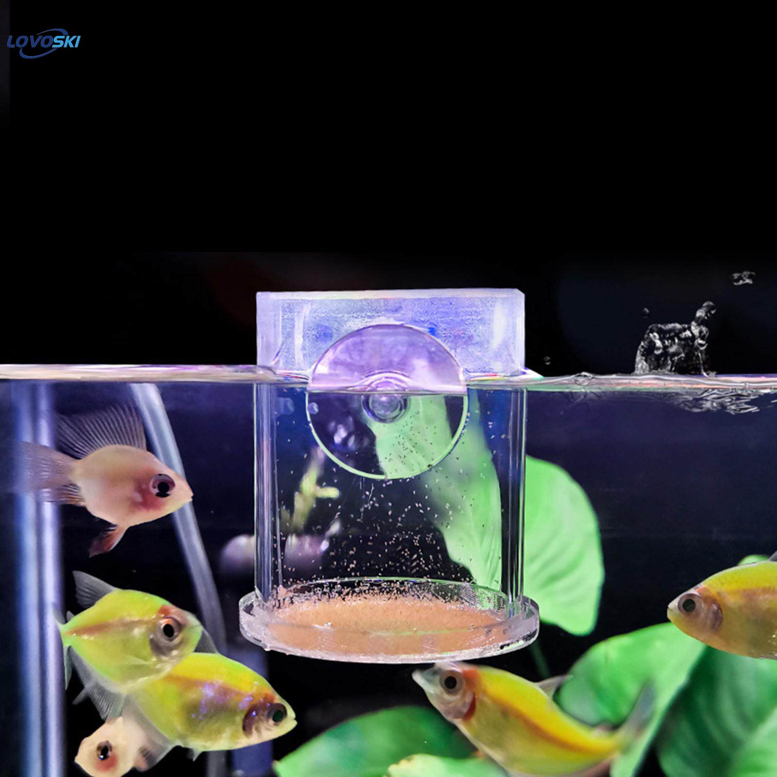 Fish Feeder Transparent Acrylic Artemia Column Fish Feeder Fish Feeding ...