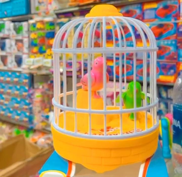 Beautiful Singing Birds Induction Electric Parrot Toy Bird Children ...