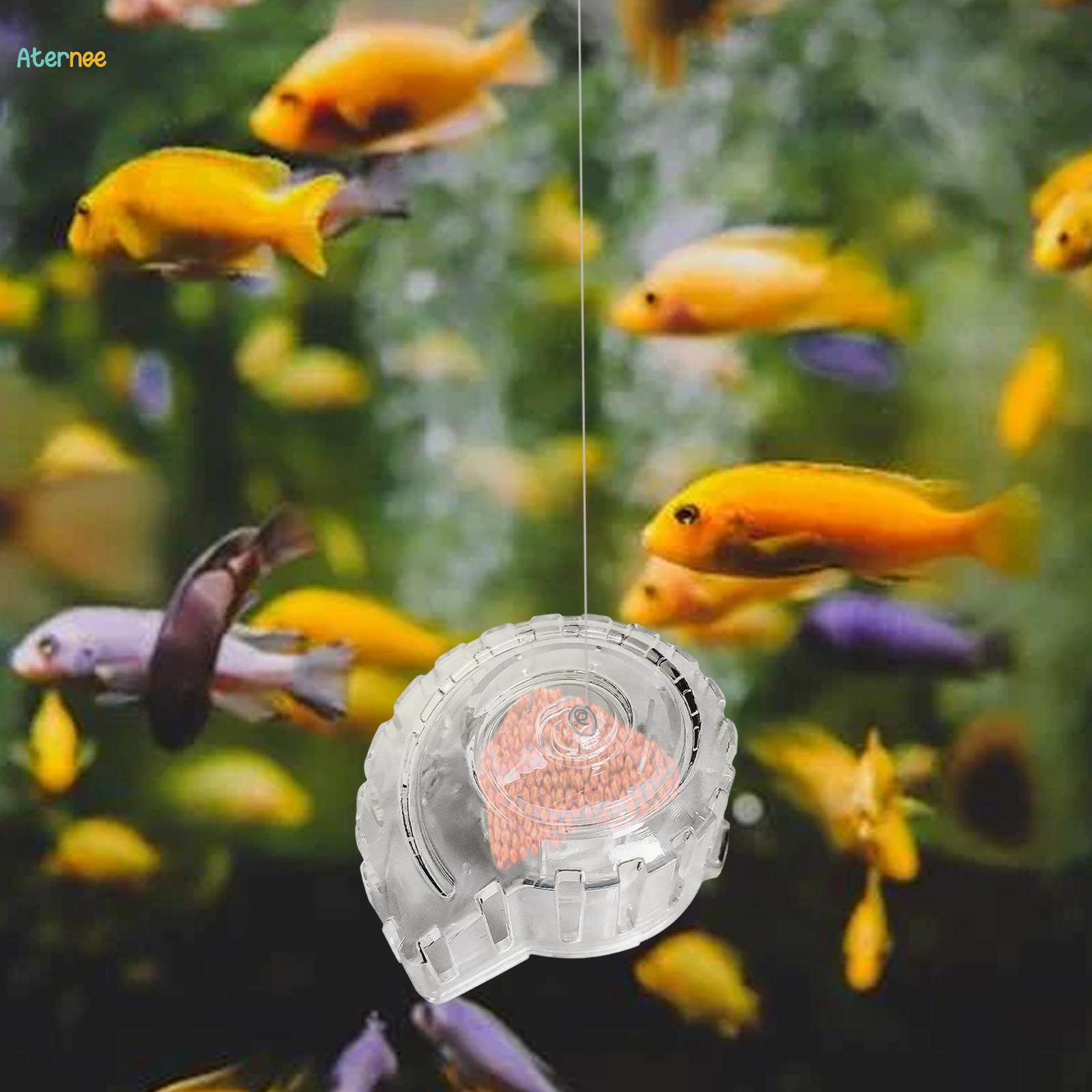 Aquarium Snail Addition Multitool Sturdy Planaria | Daraz.pk