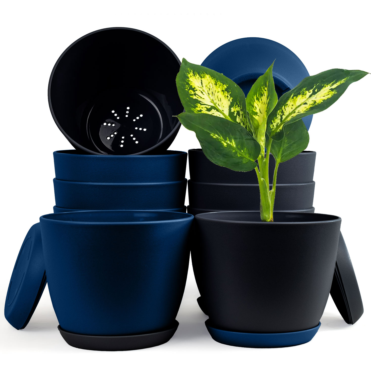 Fast Forward Extra Large Plant Pots with Drainage: Two Vibrant Colors ...
