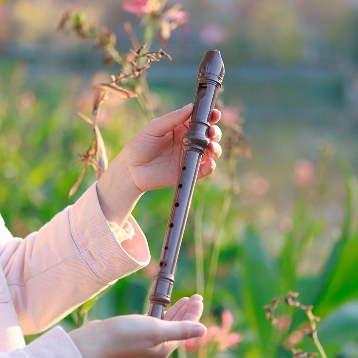 【Footprint】 8 Hole Flute Resin Musical Flauta Instrument Recorder Long ...