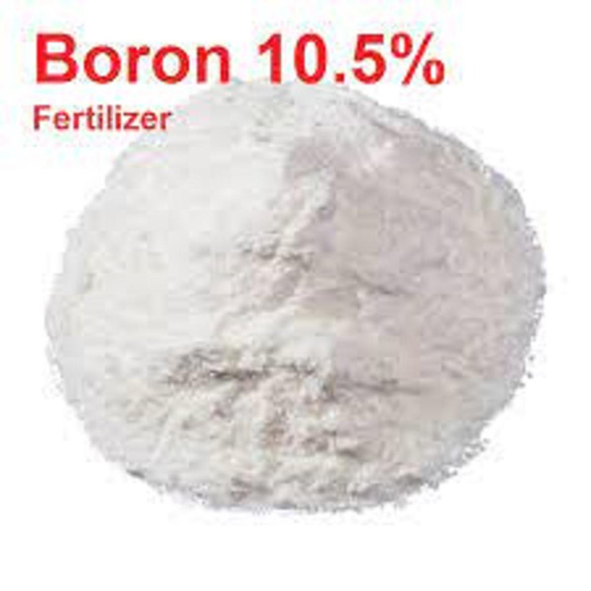 Boron fertilizer 250gm for plants and vegetables import pack | Daraz.pk