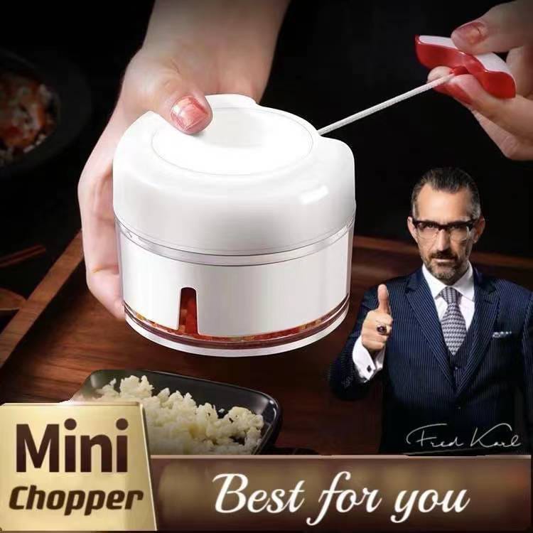 Mini Garlic Slicer Household Mincing Machine Minced Hand Pull Grinder ...