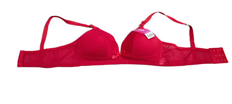 Soft padded women bra with lace | Daraz.pk