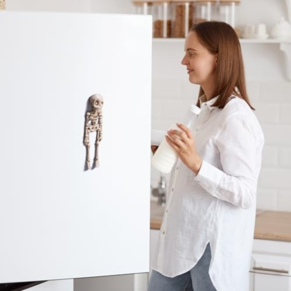 Decorative 3D Skeleton Refrigerator Magnets Poseable Movable Joints ...