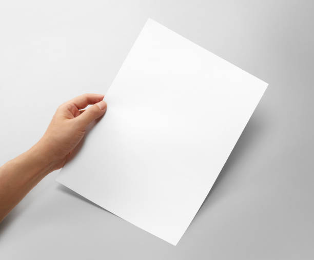 Pack of 100 White Paper A4 Size Premium quality 80 gram White A4 size ...