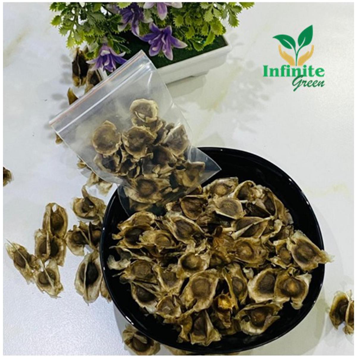 Pack of 20 Moringa Tree Seeds Sohanjna (Oleifera)100% Germination ...