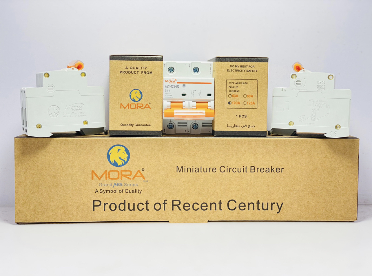 MORA 2POLE 125A 1000V DC Circuit Breaker For Batterie's and Solar System | Solar DC Breaker 125A ...
