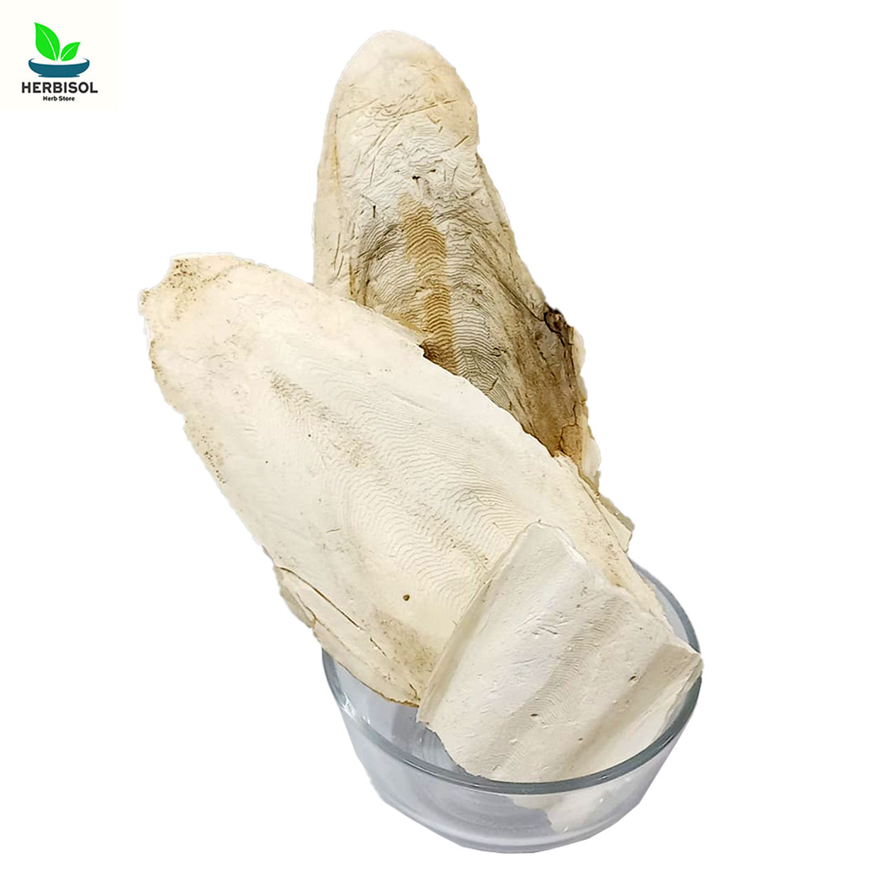 Samundar Jaag 100gm - Sea Foam- 100% Original - Samandar Jhag / Jhaag ...