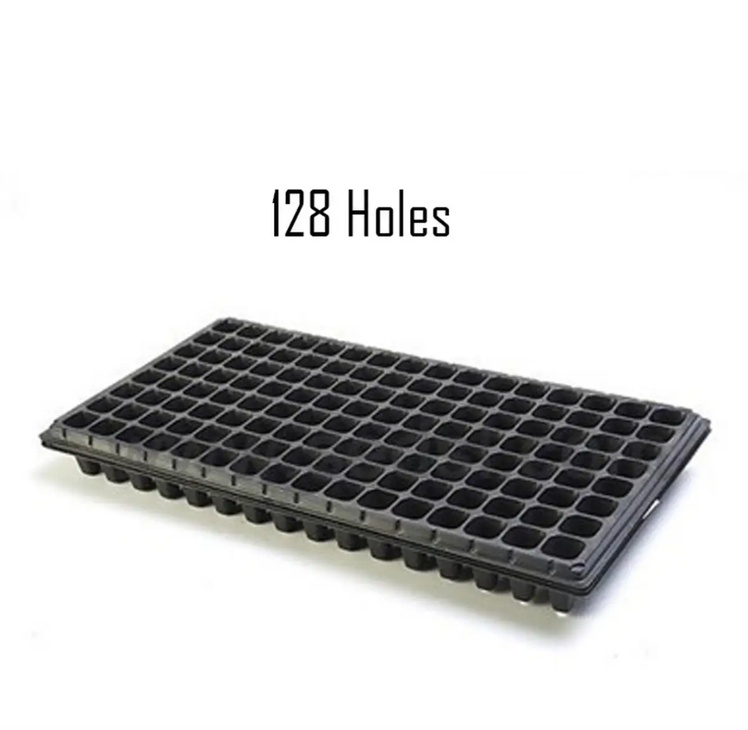 Seedling Tray 128 Holes for seeds germination | Daraz.pk