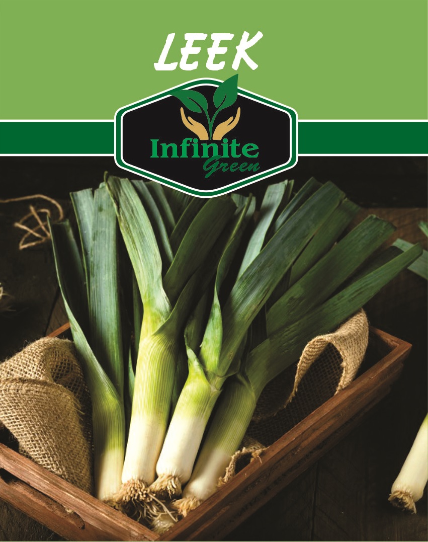 LEEK HERB 50 PLUS SEEDS COUNT | Daraz.pk