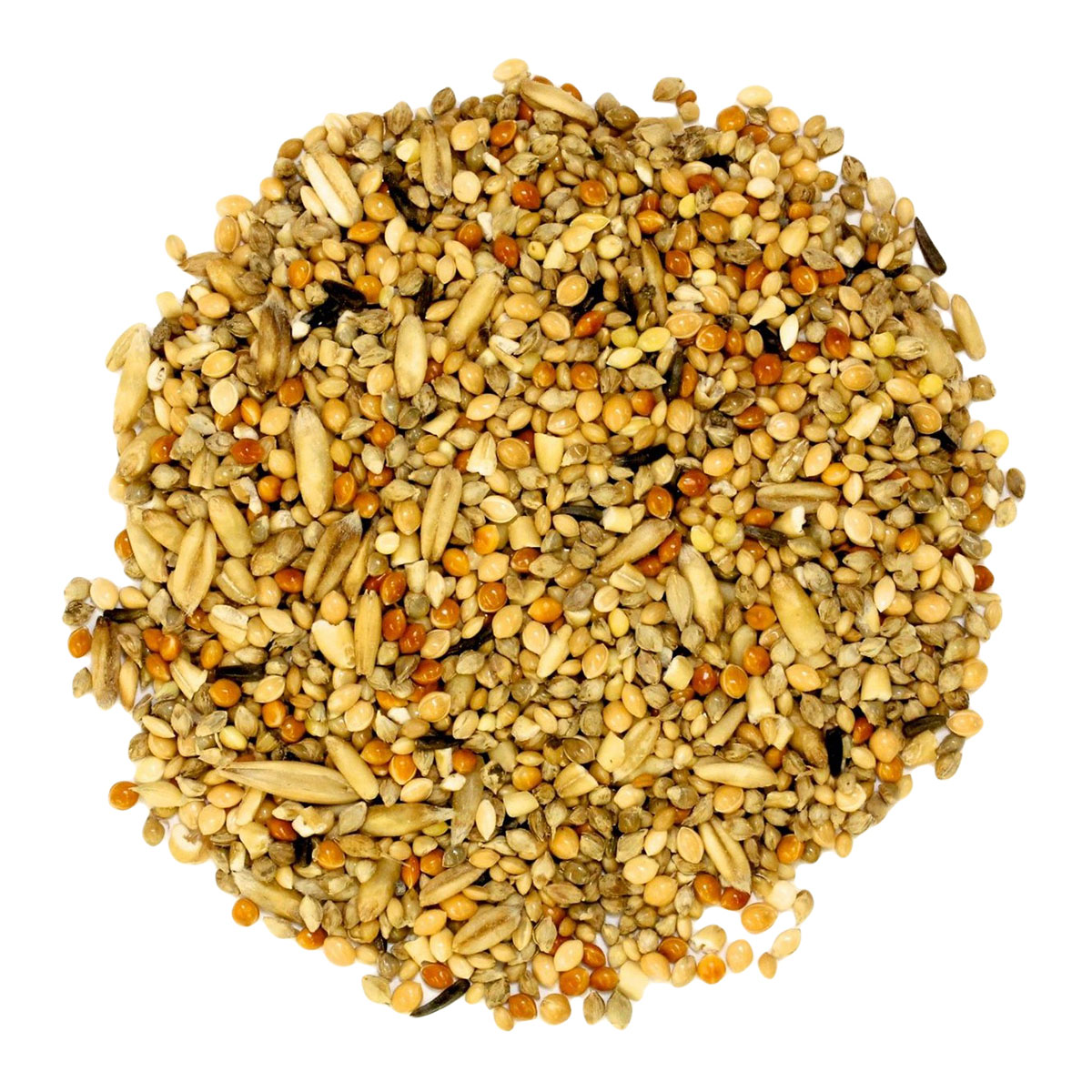 Mix Feed – 1KG Pack | مکس فیڈ for Budgies, Lovebirds & Small Birds ...