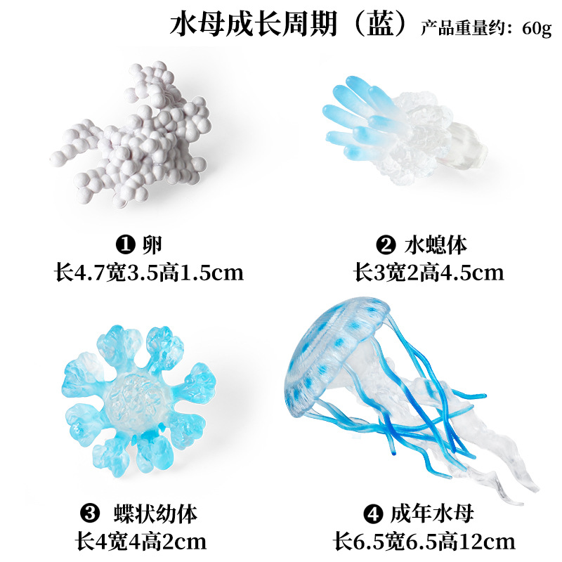 Children's simulated animal model, static solid wild insect cicada ...