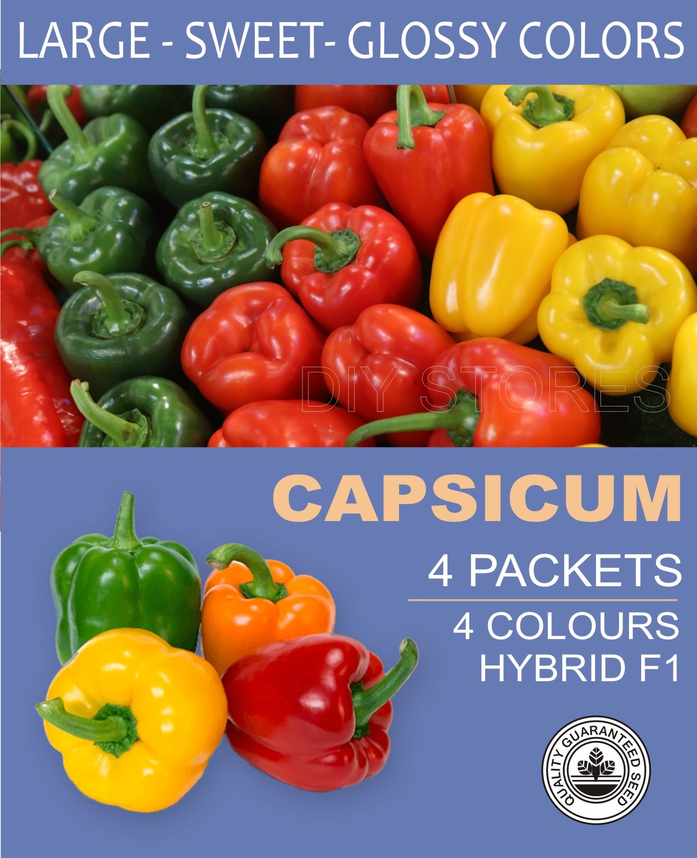 4 Different Packets Capsicum Varieties Hybrid F1 Seeds | Daraz.pk
