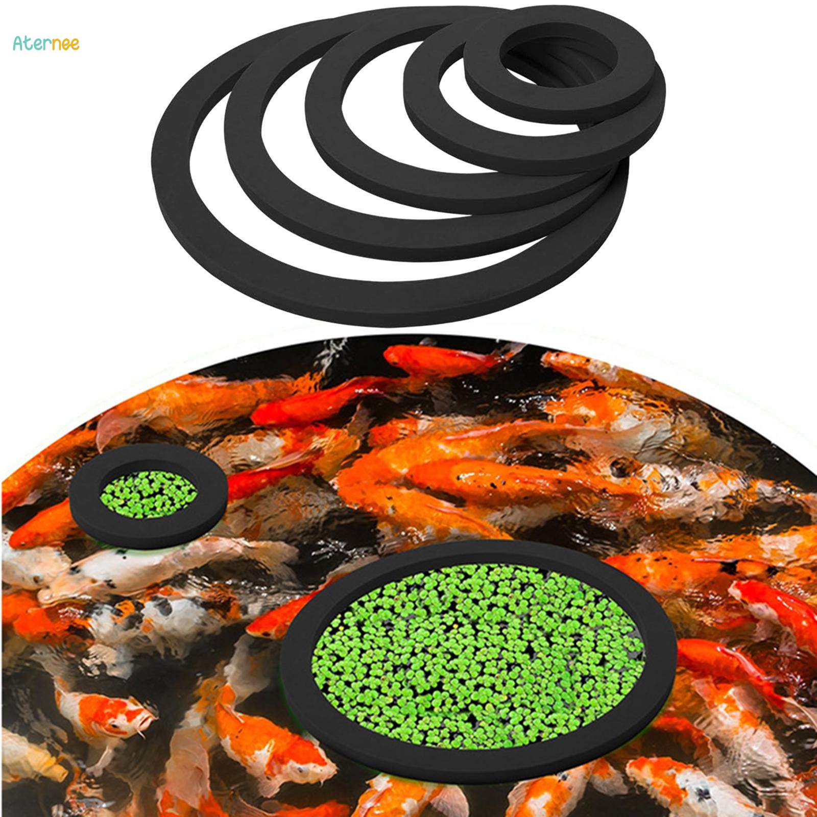 Aquarium Floating Plant Rings Tank Floating Plant Rings for Aquarium ...