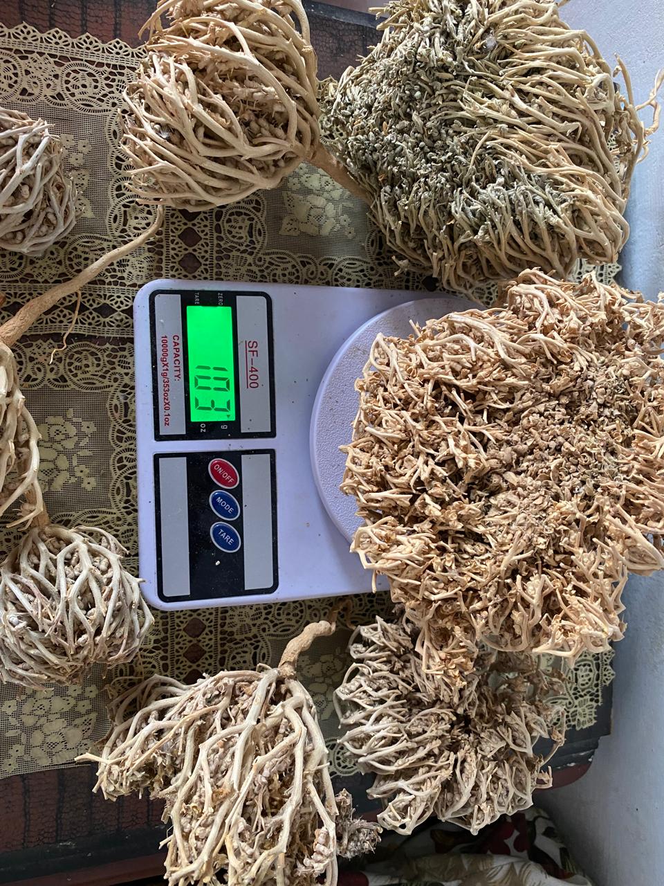 Maryam Booti 100 gm | Daraz.pk