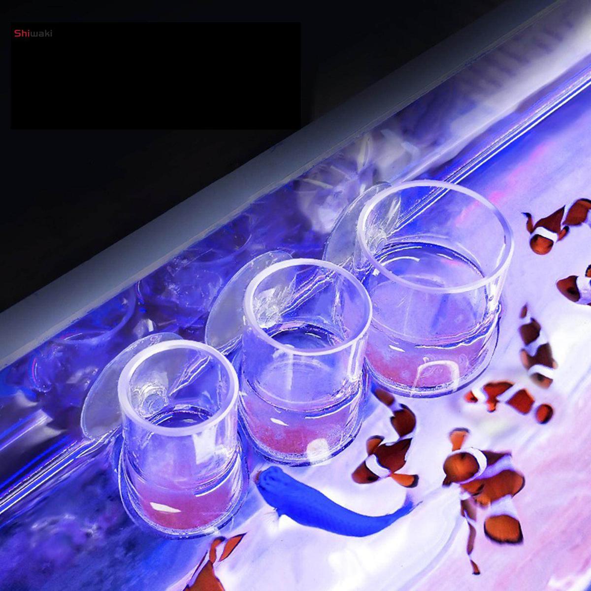 Fish Feeder Transparent Acrylic Artemia Column Fish Feeder Fish Feeding ...