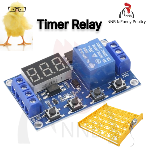 Digital Led Display DC 6-30V Programmable 4 Button automatic Timer ...