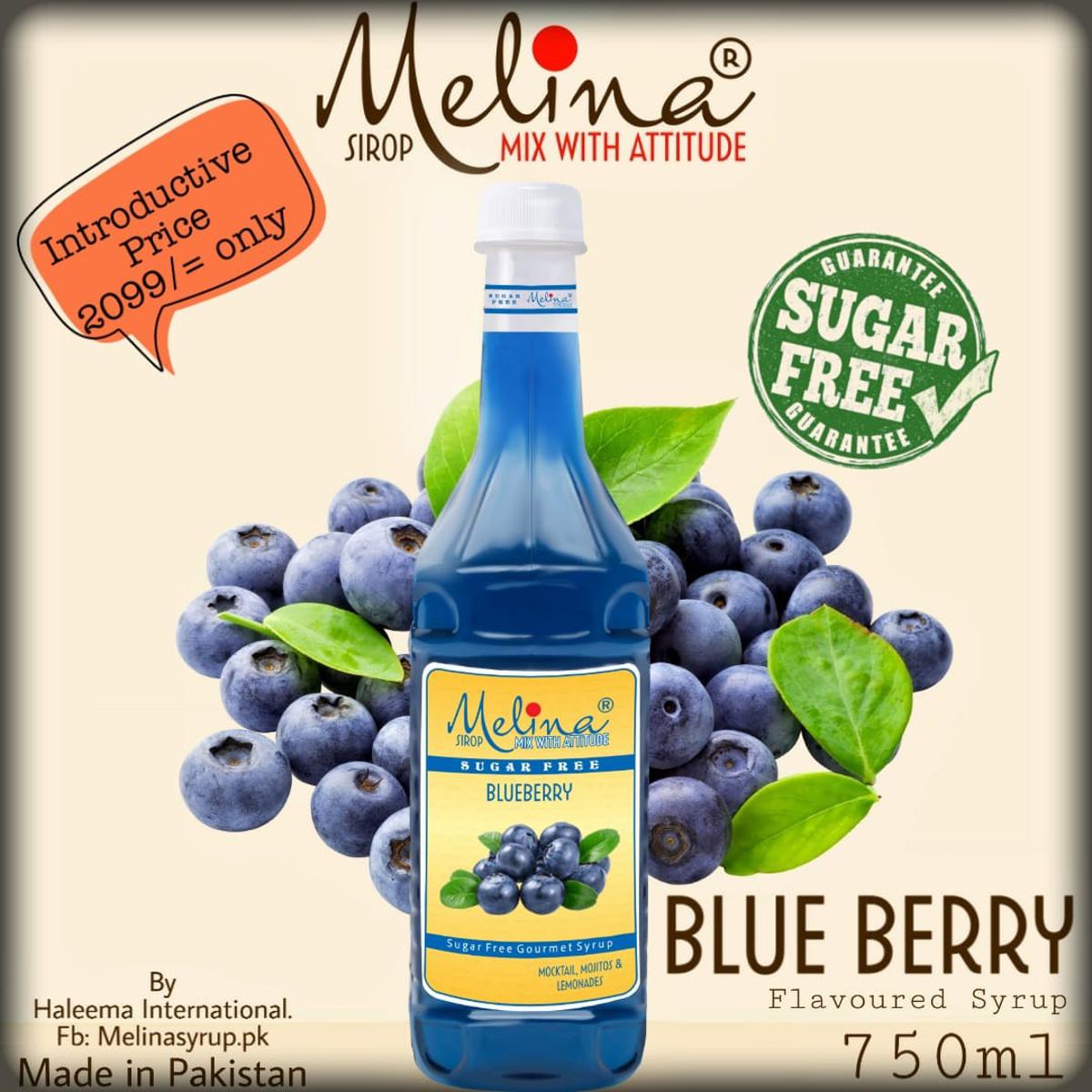Melina - Blueberry Sugar Free Flavored/Flavoured Syrup- 750ml/Mocktail ...