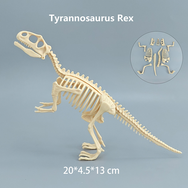1 Set Kid Toy DIY Assembly Jurassic Dinosaur Fossil Skeleton Mosasaurus ...