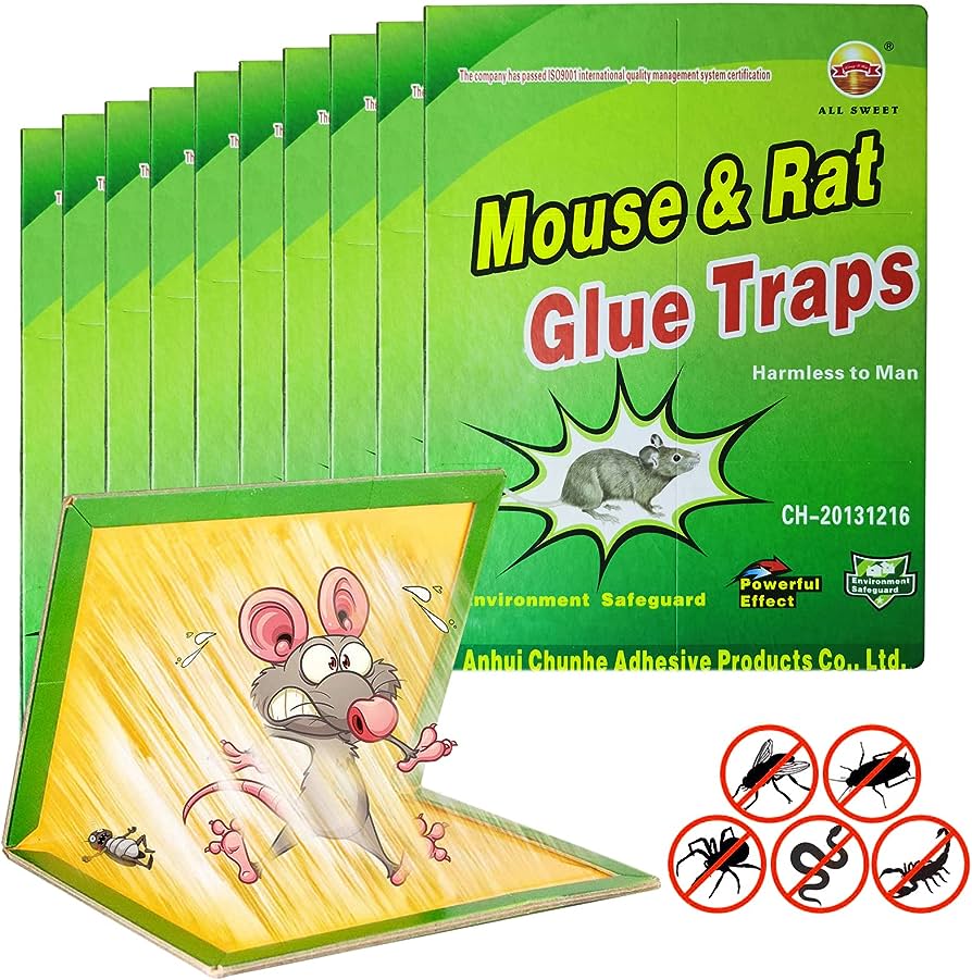 Pack Of 5 Mouse Glue Traps Sticky Boards Mice Traps strong glue board ...