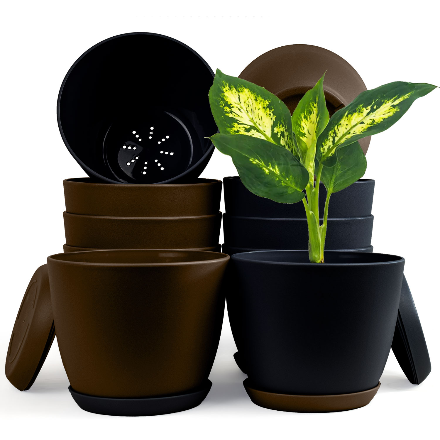 Fast Forward Extra Large Plant Pots with Drainage: Two Vibrant Colors ...