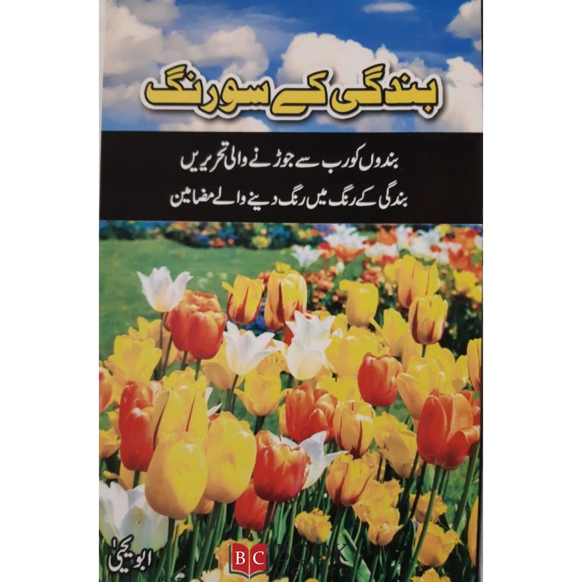 Bandagi Ke So Rang By Abu Yahya | Daraz.pk