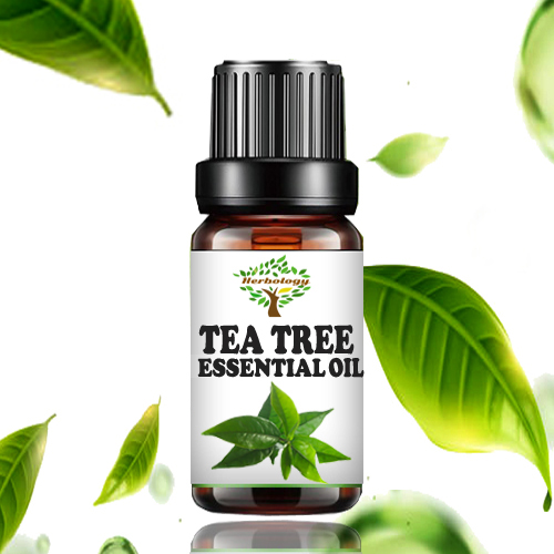 Tea Tree Essential Oil , 100% Pure Therapeutic Grade, Steam Distilled ...