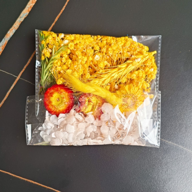 Sweet Journal Dried Flowers Natural Floral DIY Crafts Scrapbooking ...