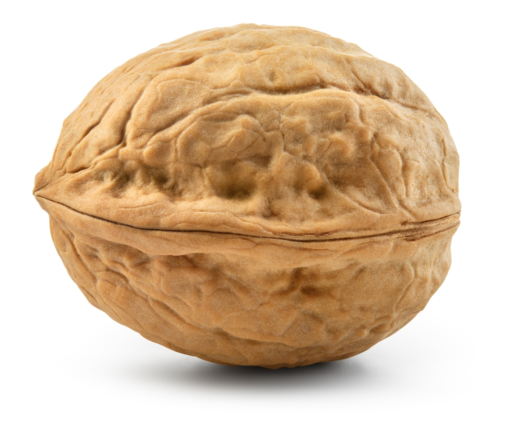 Fresh Desi Walnuts 500gram | Chitrali Akhrot | AKHROT | FRESH WALNUT ...