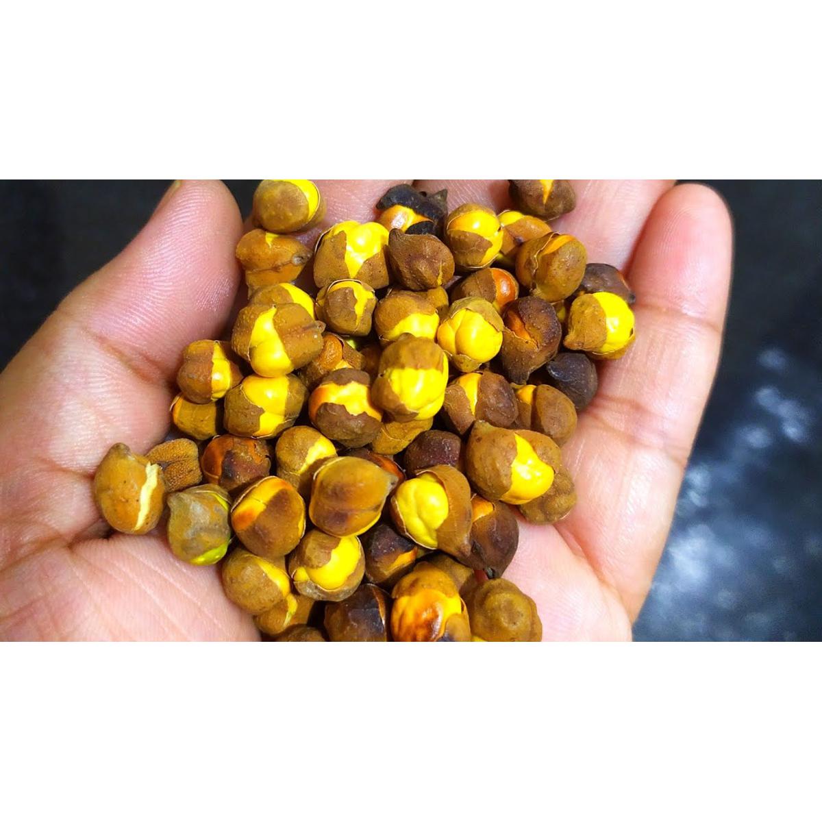 pack of 2Kg- fresh chickpeas, high quality fresh channa, excellent ...