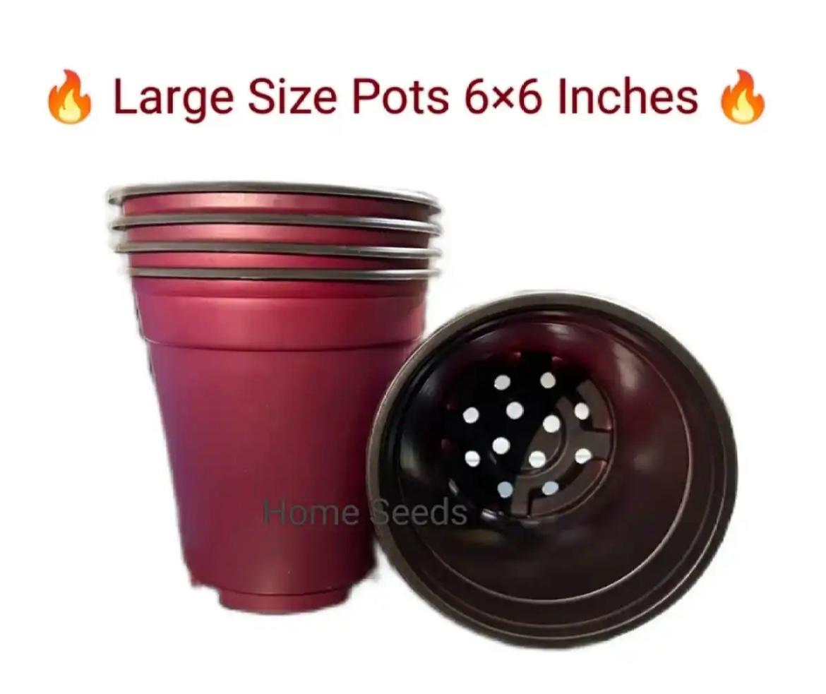 Pack of 10 large 8×8 Inches Plastic pots - Pots for seedling or flower ...