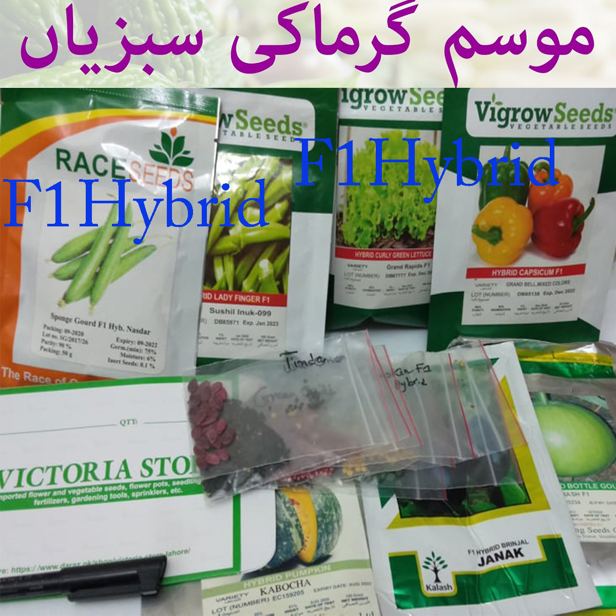 10 Packs of F1 Hybrid Winter Vegetables Seeds by Victoria Store | Daraz.pk