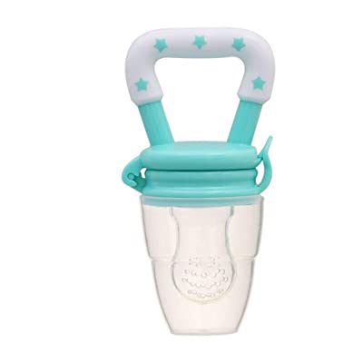 Baby Fruit Soother - Baby Fruit Pacifier - Fruit and Vegetable Feeding ...