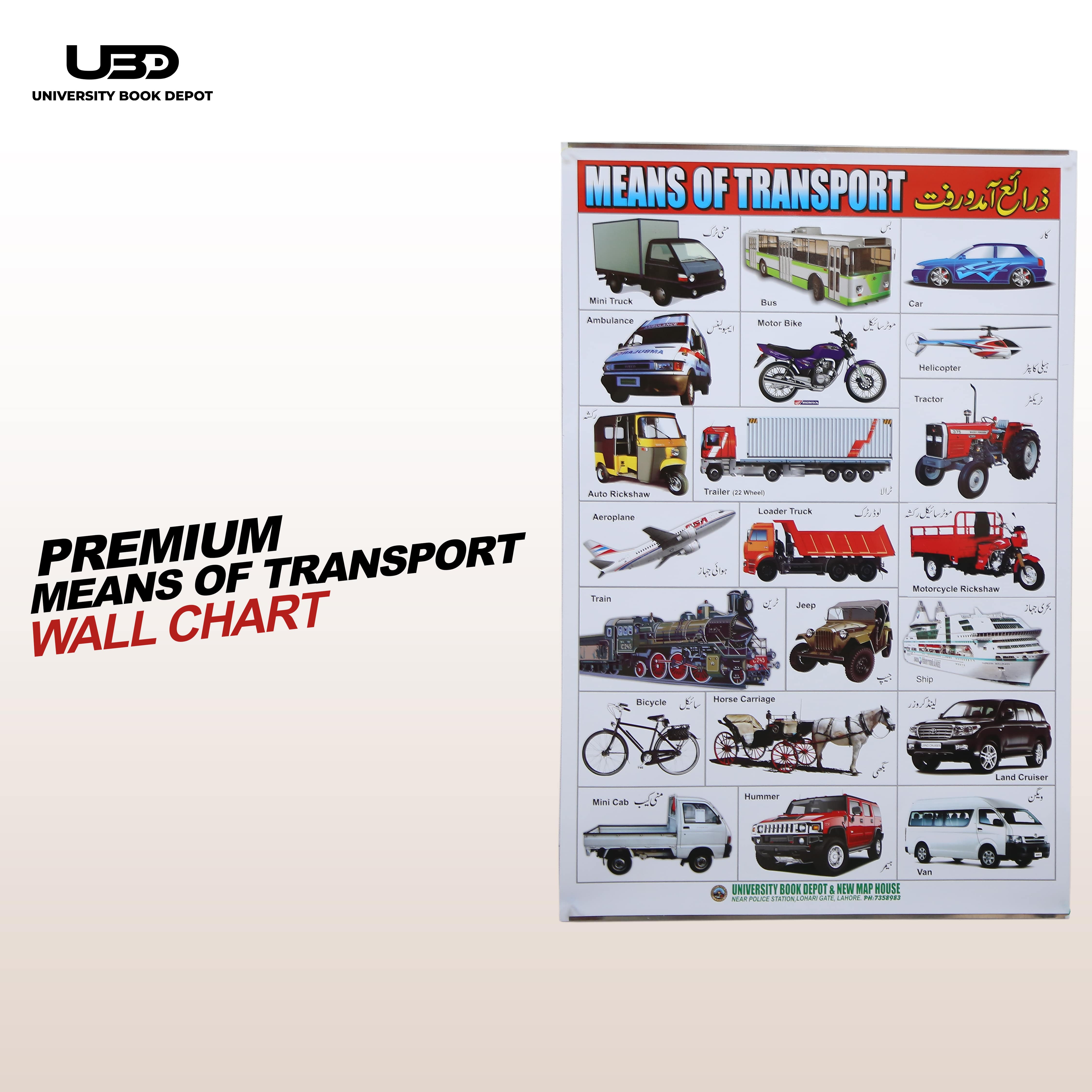 Means of Transport Wall Chart | Wall Poster of Transport for School and ...