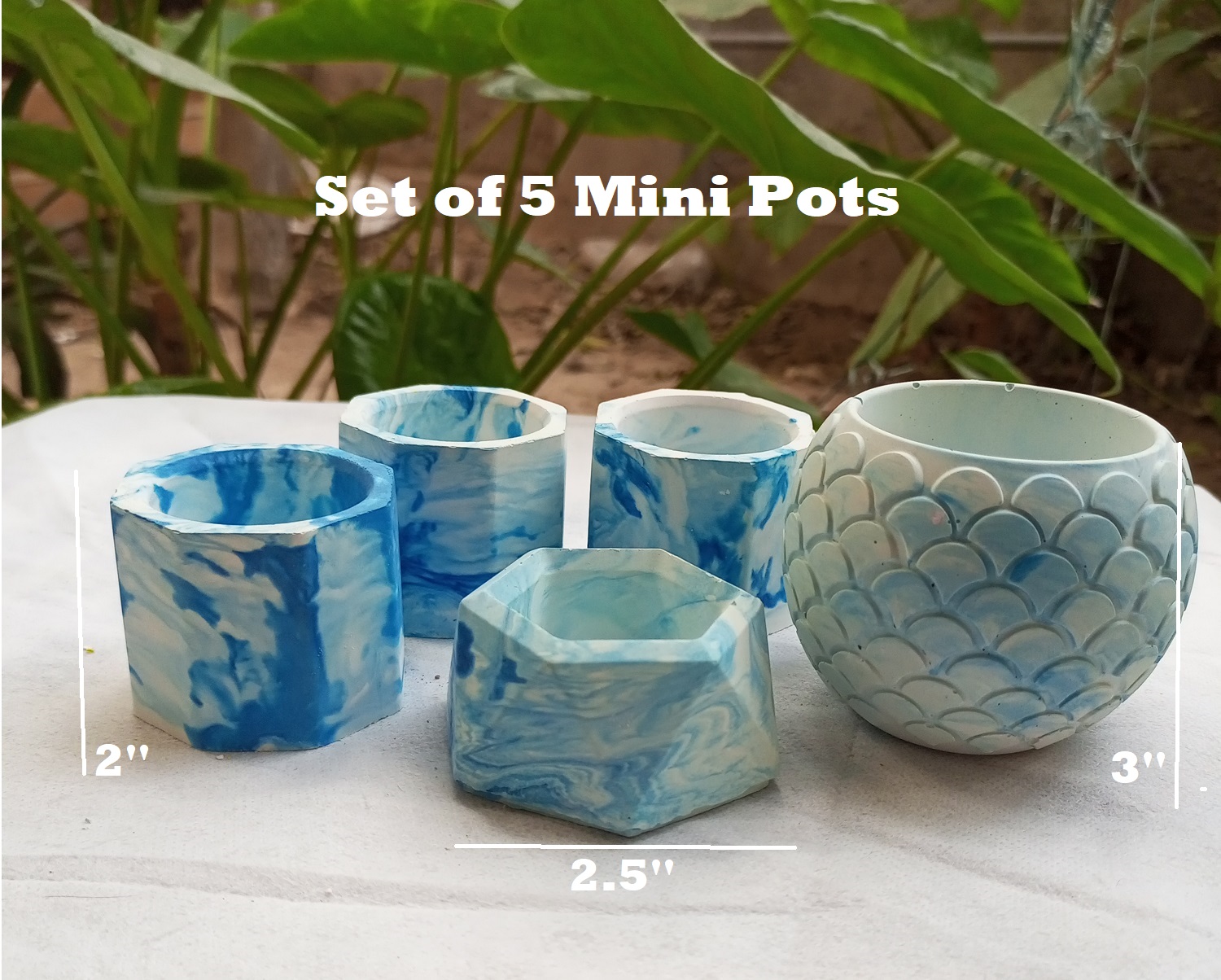 Set of 5 Mini Decorative Flower Pots for Home Office and Party ...