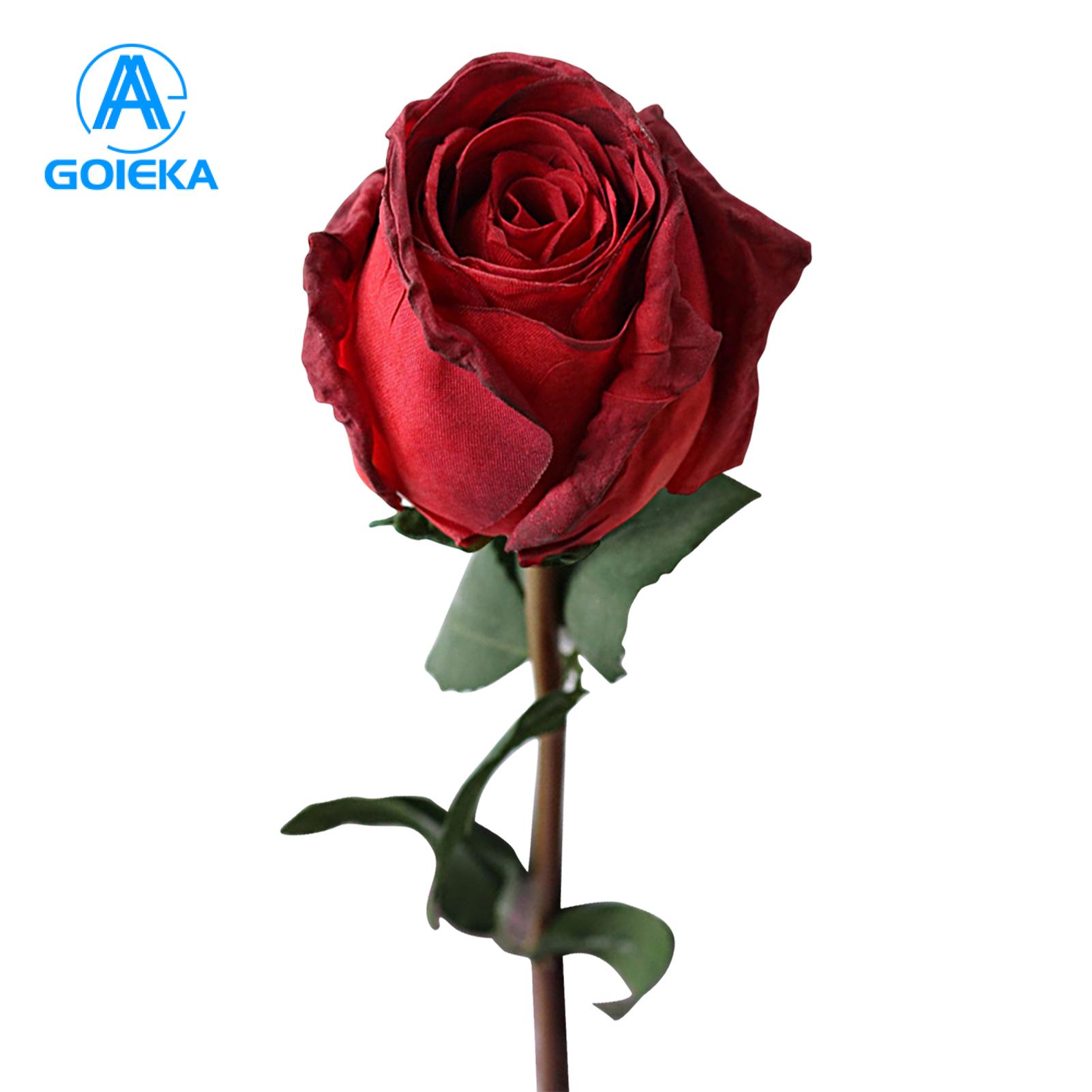 GOIKEA Artificial Rose Flower Vibrant Color Single Branch Fake Rose ...