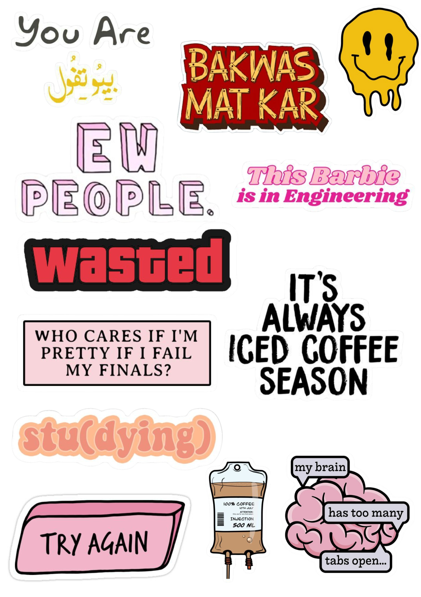 Meme sarcastic stickers A5 uncut , funny mobile ego Urdu | savage set ...