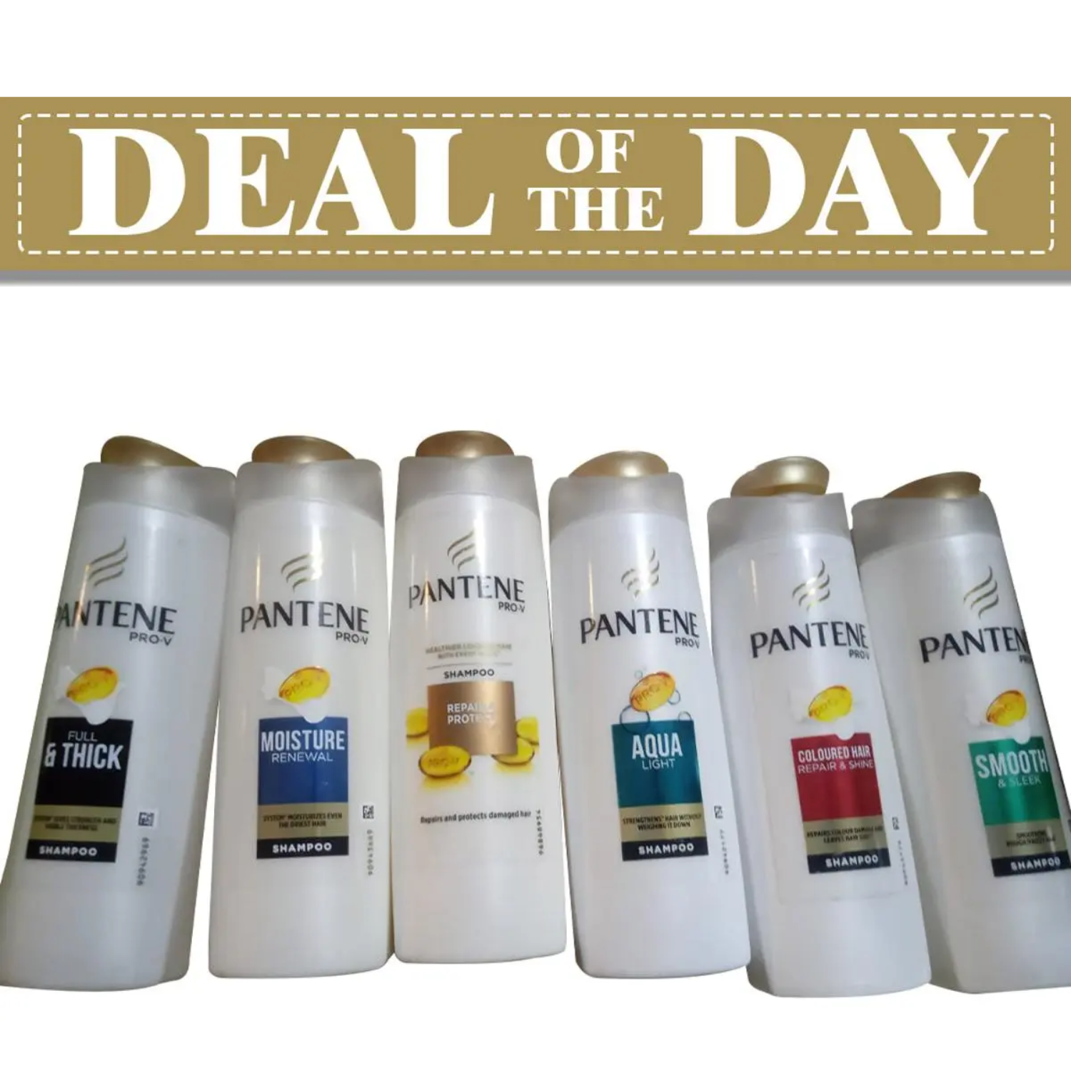 𝐖𝐁𝐌 𝐏𝐚𝐧𝐭𝐞𝐧𝐞 Shampoo Sale (Some Scratches on Bottle & Label Damaged ...