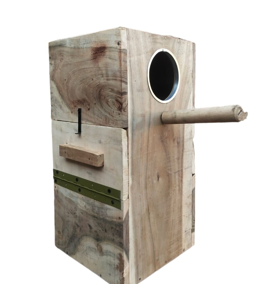 Kashmiri Raw Parrots Breading Box (Kikar Wood) | Daraz.pk